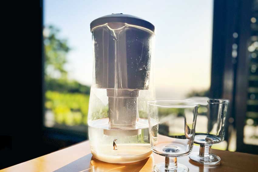 6 Solid Perks of Trying Out and Using a Water Filter Jug | Health