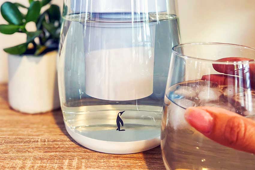 Unveiling the Benefits of the Gentoo Glass Water Filter Jug | Health